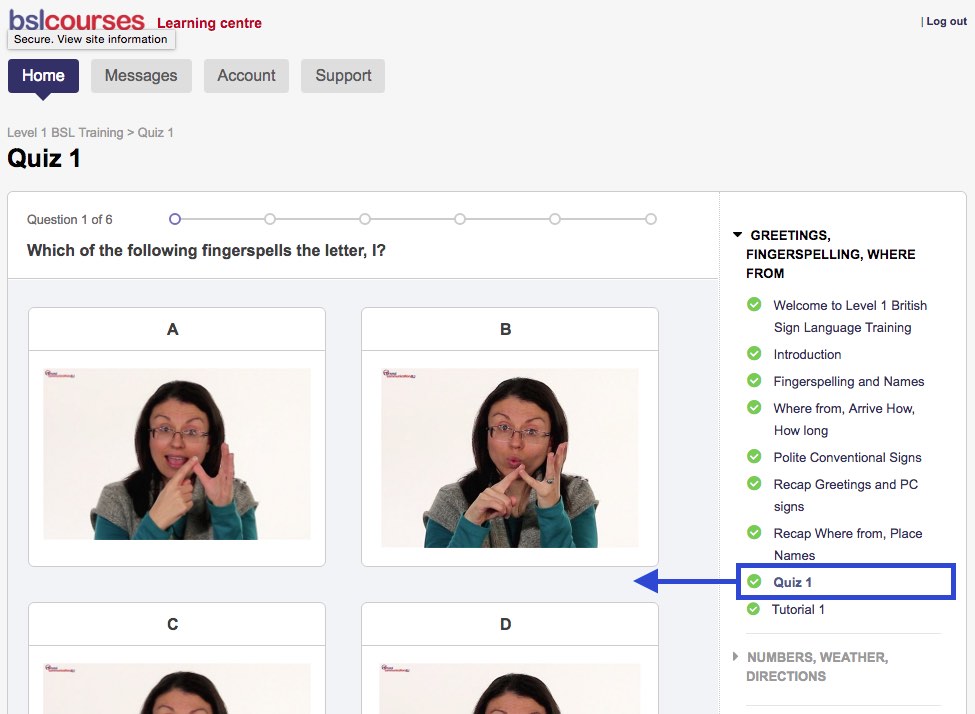 Learn British Sign Language Online with BSL Courses